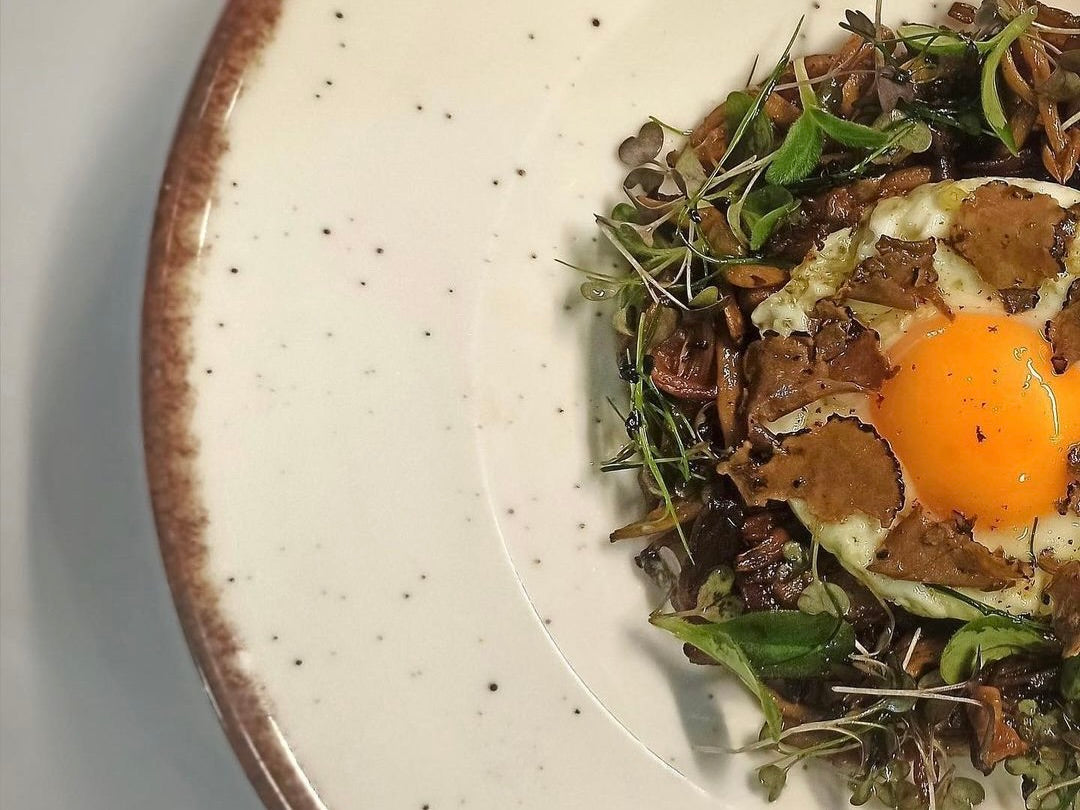 Conversations with Vicki Gotsi - Porcini Forest Mushroom – BOTANA&TEA